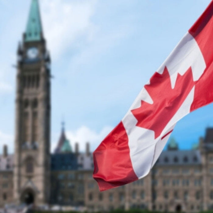 Compliance Training for Employees - Vubiz